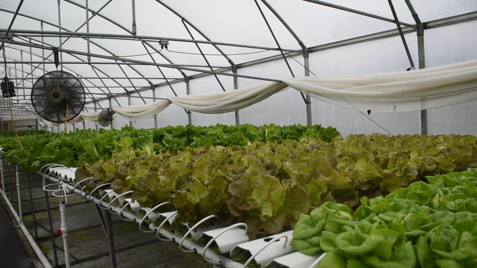 Cultivating Communities | Warren County | Smith County